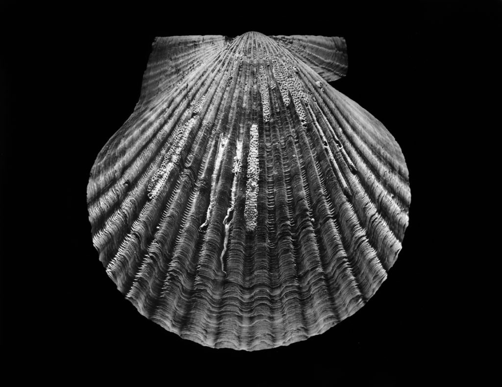 Peter Dreyer – Martha's Vineyard Hospital